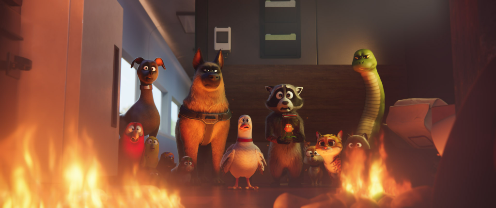 可愛動物大集合！「功夫浣熊」率各式家中萌寵火車大逃亡